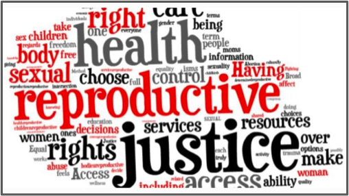 A Shift in Perspective: From Reproductive Rights to Reproductive ...